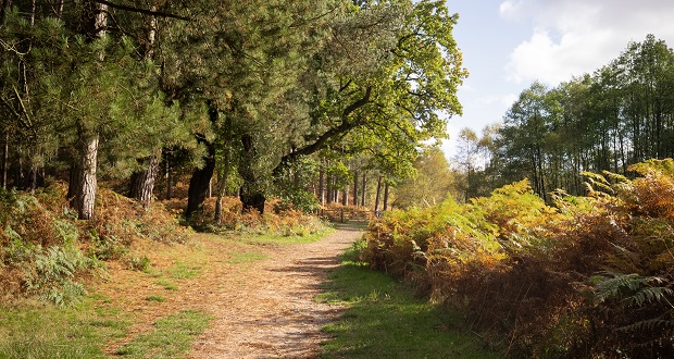 Cannock Library - Staffordshire County Council