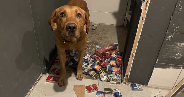 Rural Economic Strategy: 2023-2030 - Staffordshire County Council